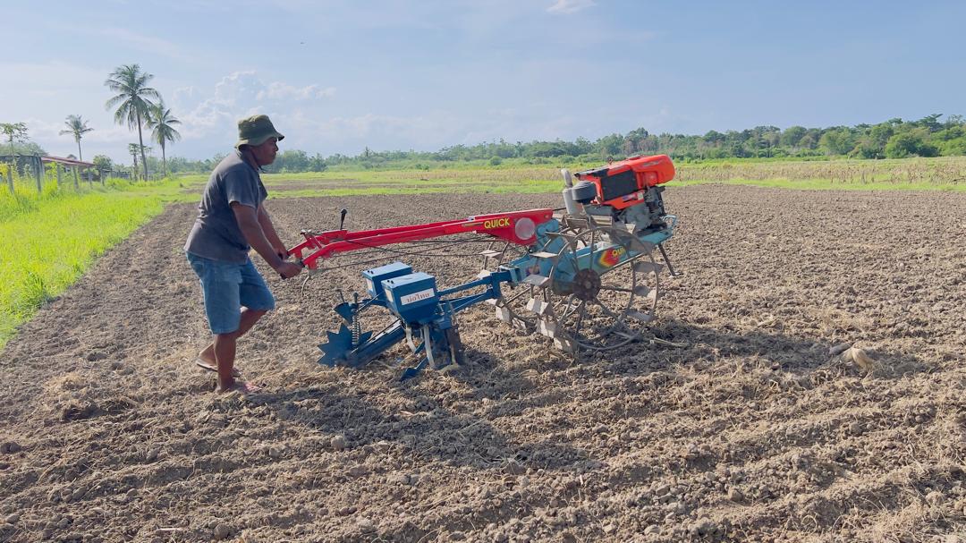 New research to introduce on-farm labour innovations kicks off in Timor-Leste | ACIAR